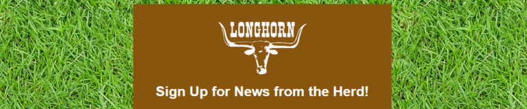 Longhorn